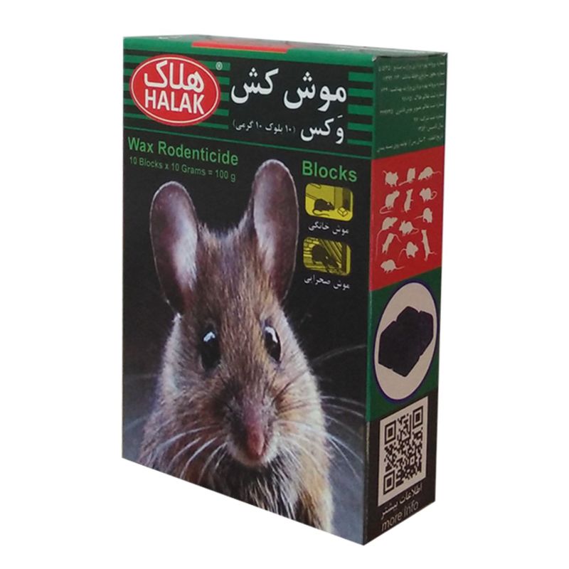 انواع تله موش و معرفی بهترین تله موش (برقی و دستی)